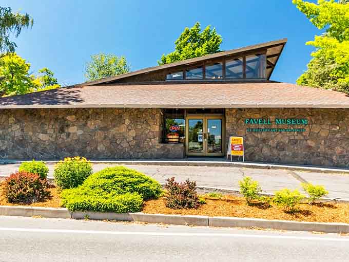 Favell Museum's distinctive architecture houses treasures that don't require selling organs to visit and enjoy thoroughly.