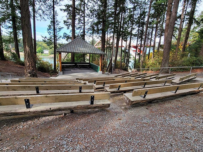 Pioneer Park's outdoor amphitheater sits ready among the trees for performances that bring the community together naturally.