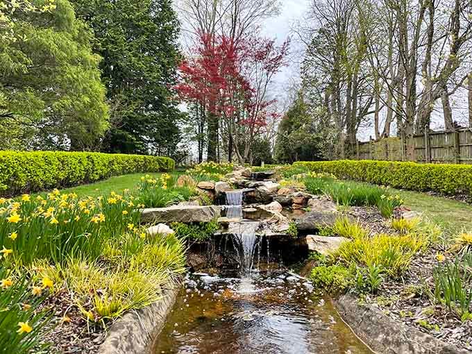 A gentle waterfall trickling through the garden, providing the kind of soundtrack that makes stress melt away instantly.
