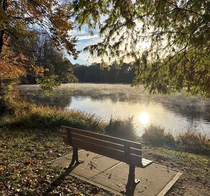 This bench has witnessed countless sunrises, deep thoughts, and probably a few important life decisions too.