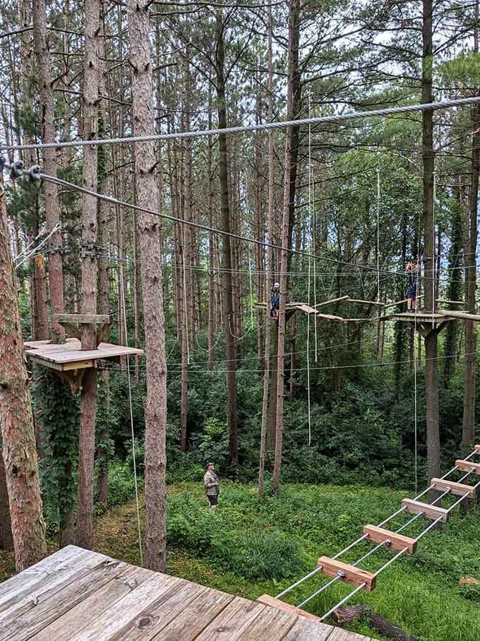 Suspended walkways stretch between platforms as adventurers navigate the course like modern-day Tarzans minus the yell.