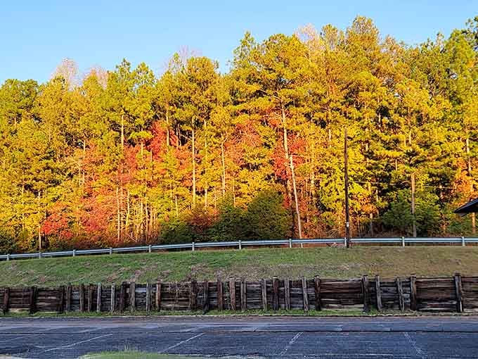 Fall transforms the park into a painter's palette—Mother Nature showing off her best work for free admission.