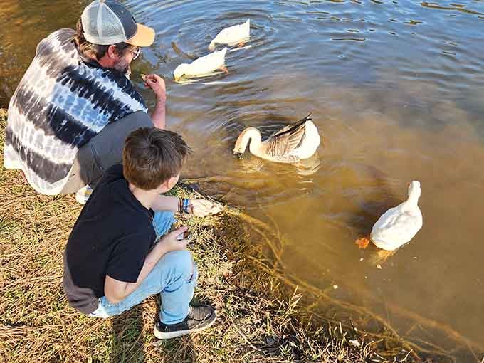 Local residents who've figured out this lake life thing way better than most of us ever will, honestly.