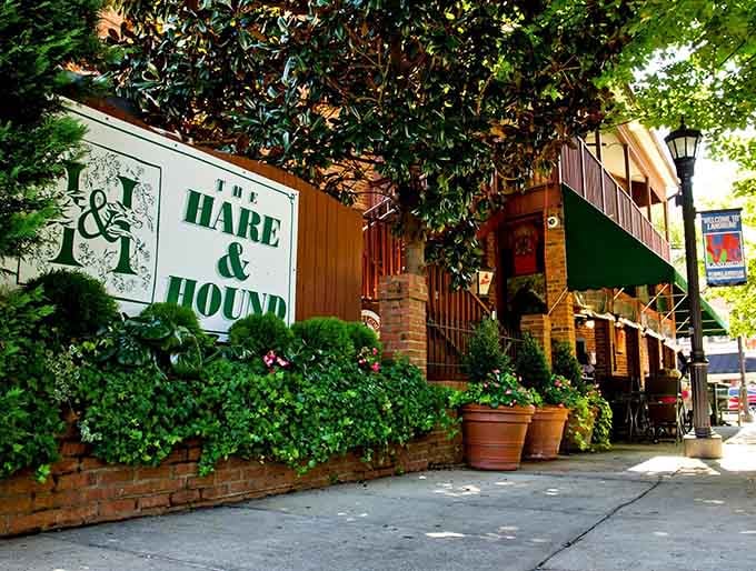 The Hare and Hound sits tucked away like a secret your cool aunt would tell you about over coffee.