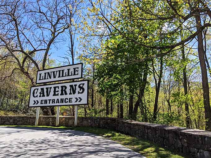 That classic roadside sign has been pointing adventurers toward subterranean wonders for longer than most of us have been alive, honestly.