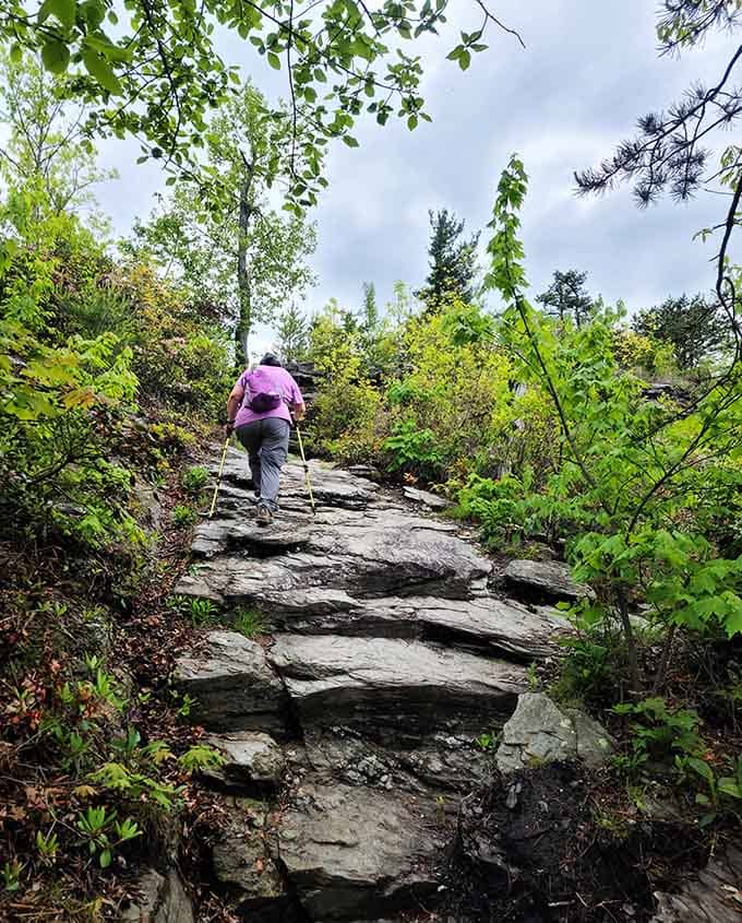 The rocky trail reminds you that the best views require a little effort and some seriously good hiking boots.
