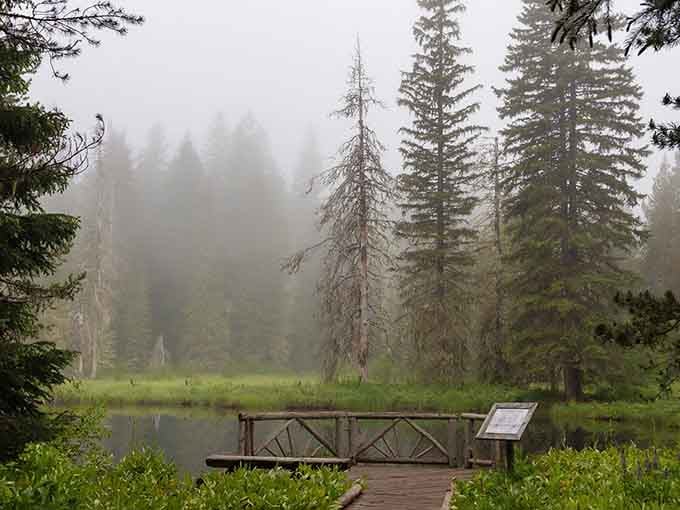 Foggy mornings transform Little Crater Lake into something mysterious, like stumbling onto a secret from another world entirely.