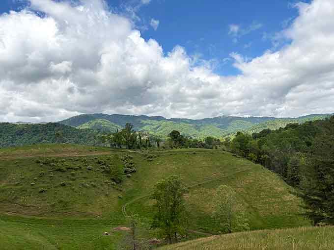 Rolling green hills stretch endlessly, proving North Carolina's backcountry rivals any landscape you've seen on television.