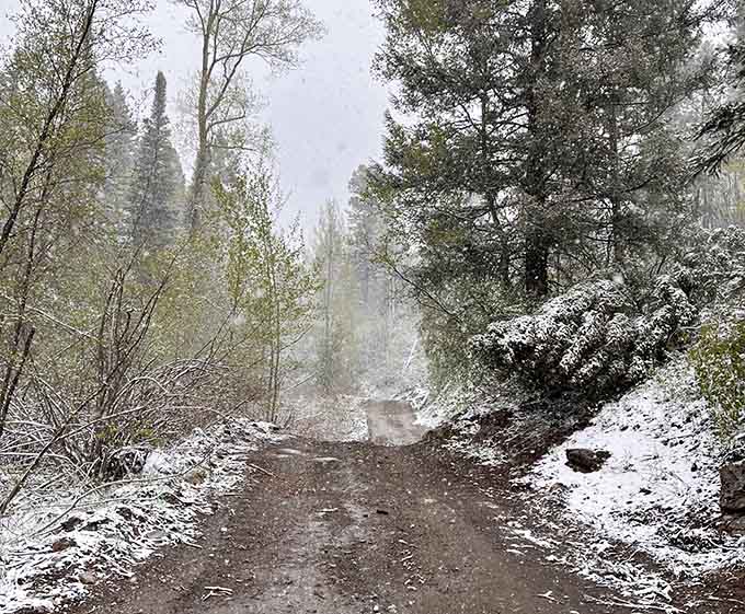 Winter transforms the trail into something from a Narnia book, minus the talking lions and Turkish delight.