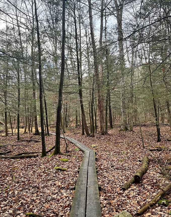 Even nature needs a boardwalk sometimes&mdash;protecting delicate terrain while keeping your boots dry is just good manners.