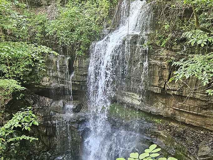 Limestone layers frame the falls like a geological picture frame that took millions of years to craft.
