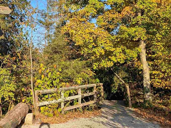 Fall colors transform the park into nature's own masterpiece, no filter needed for this Wisconsin beauty.