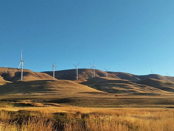 Wind turbines spinning on distant ridges, harnessing the gorge's famous breezes for something more productive than messing up your hair.