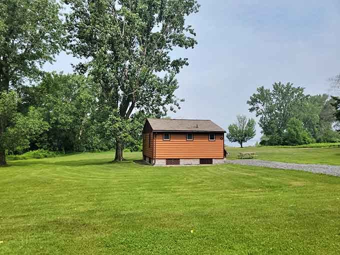 That simple cabin surrounded by green space is basically retirement goals wrapped in wood siding and tranquility.