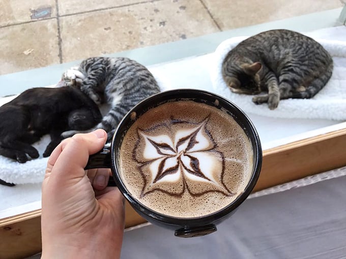 Latte art so intricate you'll feel guilty drinking it, but you'll get over that feeling pretty quickly, trust me.