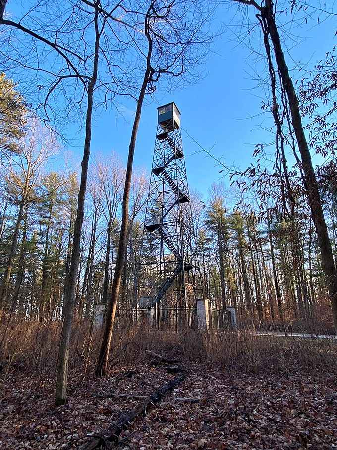 Climb up here for views that'll remind you why humans invented the phrase "worth the effort."