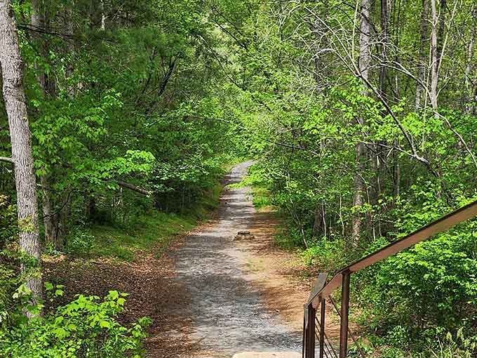 The trail welcomes you into the woods like an old friend, promising good things just around the bend.