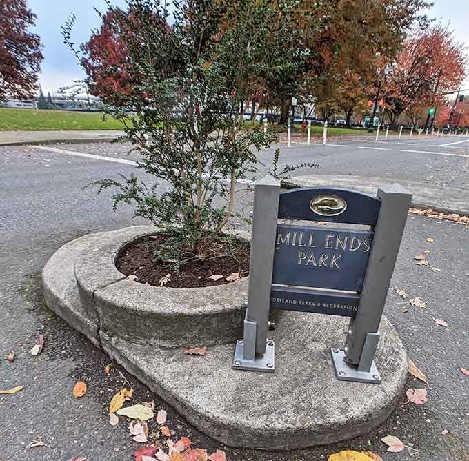 The concrete planter holds this entire world-record-holding park, surrounded by traffic and the general chaos of city life.