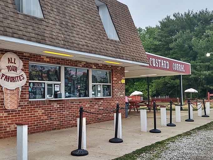 Soft-serve ice cream on a summer day, because some pleasures never go out of style, no matter your age.