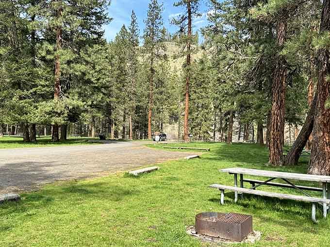 Spacious campsites under towering pines offer the kind of elbow room that makes crowded RV parks seem downright claustrophobic.