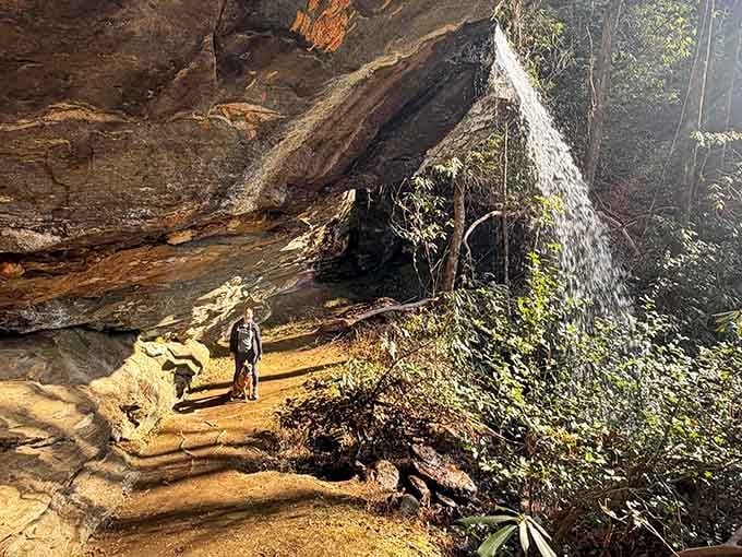 Four-legged hiking companions appreciate waterfall adventures just as much as their two-legged friends do.