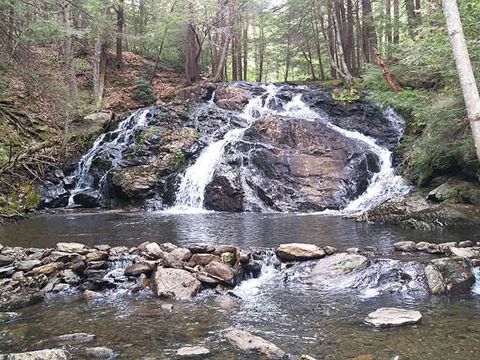 This waterfall tumbles over rocks with the kind of enthusiasm usually reserved for puppies greeting their owners.