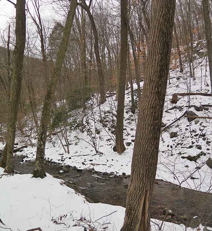 Winter hiking brings its own stark beauty, though those snow-dusted slopes require serious gear and even more serious determination.