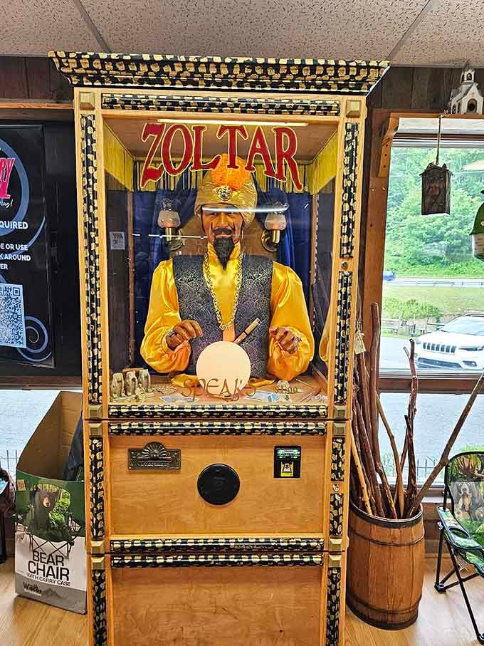Zoltar knows your future, and apparently it involves spending the rest of the day completely confused about gravity and spatial relationships.
