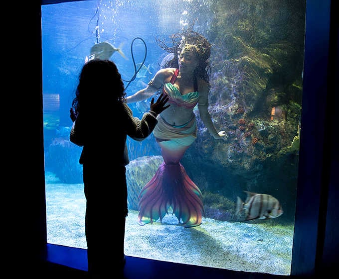 Yes, that's an actual mermaid performer creating magical moments that'll make kids believe in fairy tales all over again.