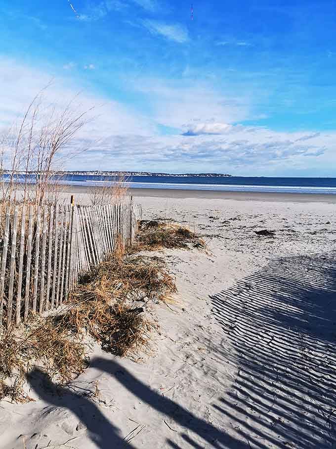 8. nahant beach sand dunes