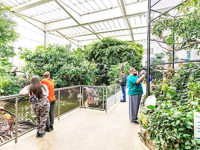 Visitors lean in close, surrounded by lush greenery and living birds. This is what it looks like when nature wins the room.