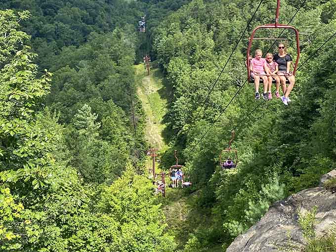 The sky lift carries families through the treetops, offering bird's-eye views without requiring actual wings or hiking boots.