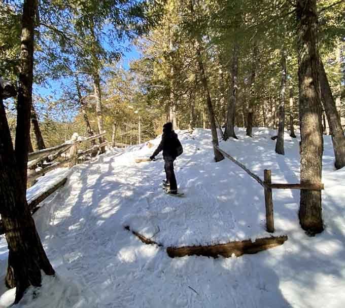 Winter transforms the trails into a snowy wonderland, proving this place delivers magic in every season imaginable.