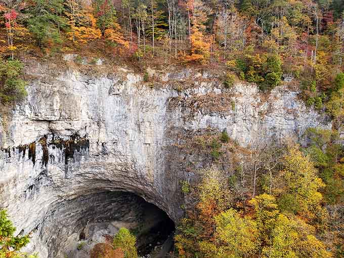 Fall colors frame the tunnel like nature hired a professional set designer for the season.