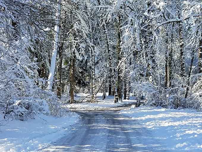 Winter transforms the trail into a sparkling wonderland that would make even Bing Crosby want to take a stroll.