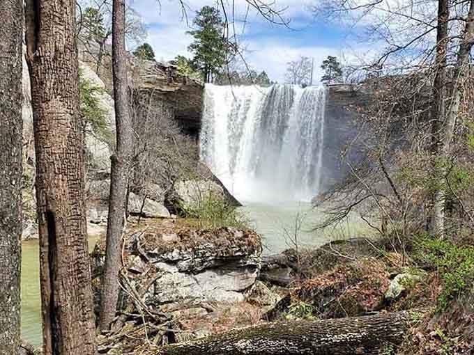 This is what 90 feet of pure Alabama power looks like, and it's been showing off for thousands of years.