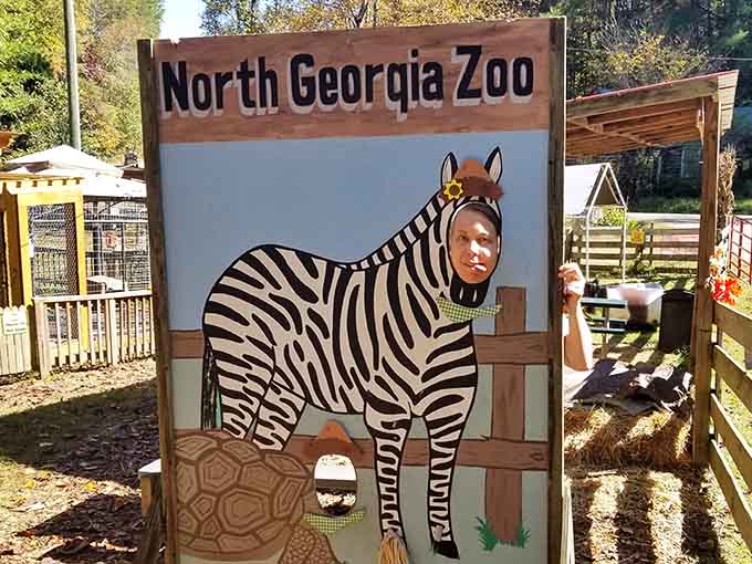 Every great zoo needs a photo op, because if you didn't become a zebra, did you even visit?