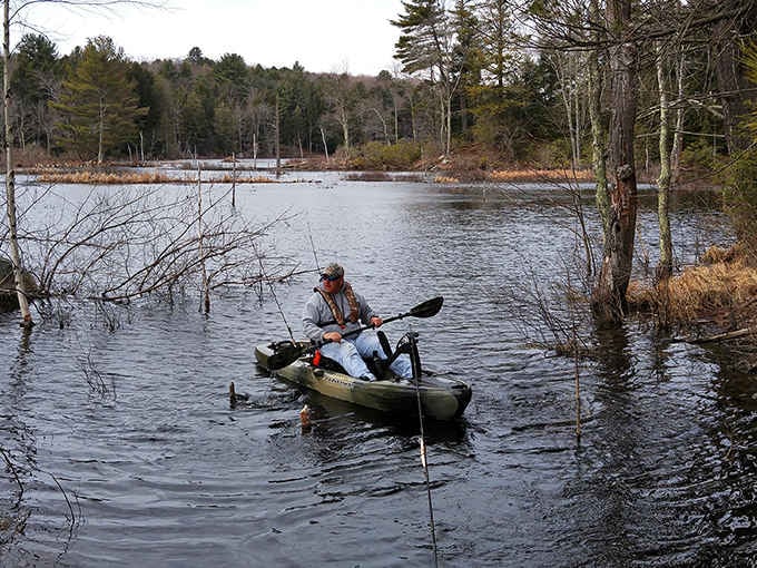 Kayaking the local waterways offers peaceful escapes that don't require expensive gym memberships or personal trainers.
