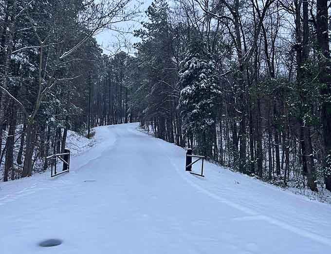 Snow transforms the park roads into something resembling a Hallmark card, assuming Hallmark makes cards about Alabama winters.