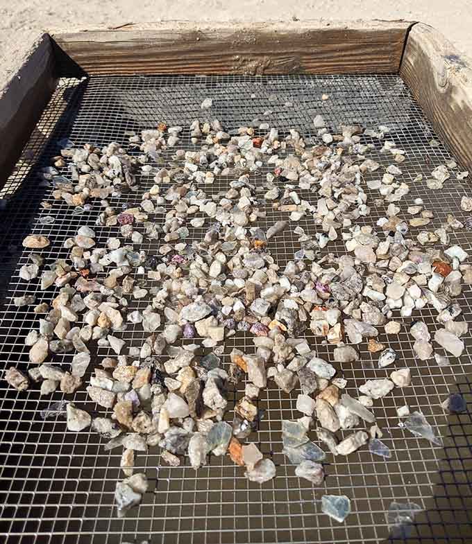 Spread across the screen, these mineral fragments shimmer like confetti from the earth's longest-running celebration.