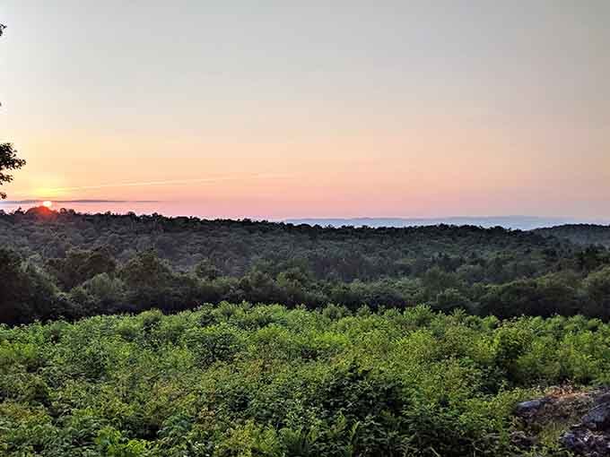 Sunset over the forest canopy: nature's way of saying goodnight with style and spectacular color.