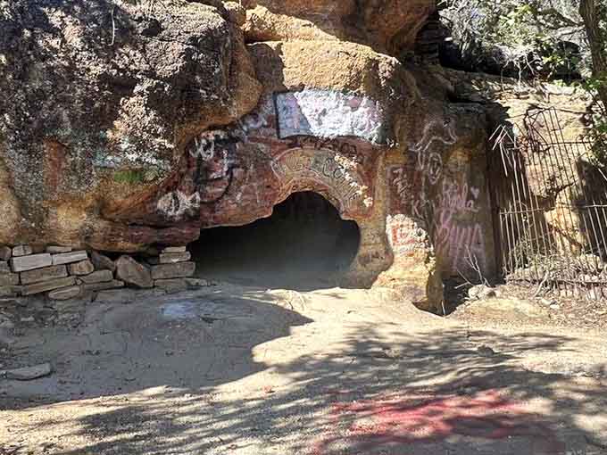 Peer into these cave-like enclosures and wonder what magnificent beasts once called this shadowy space home.