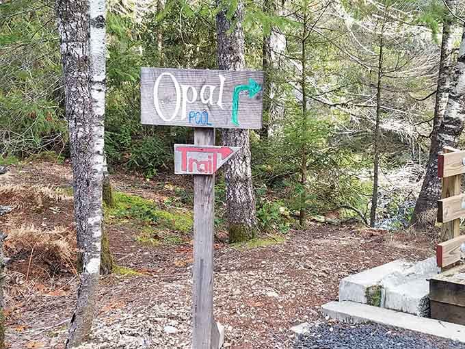 Trail signs pointing toward paradise, because sometimes the best destinations require a little advance planning and effort.