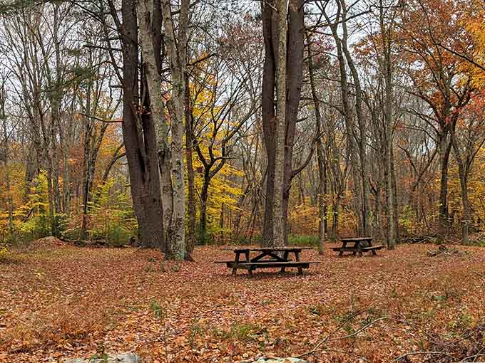 Picnic tables nestled in fall foliage turn lunch into an event worth leaving the couch for.