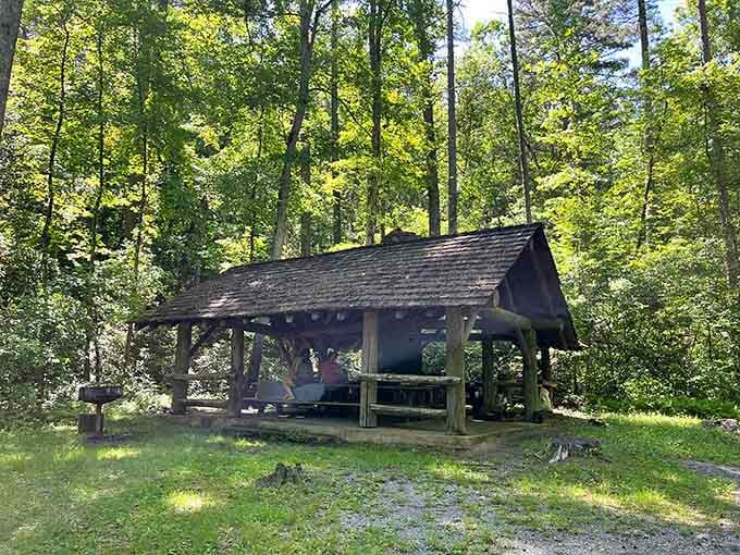 Perfect spot to rest before tackling the trail, like nature's own rest stop.