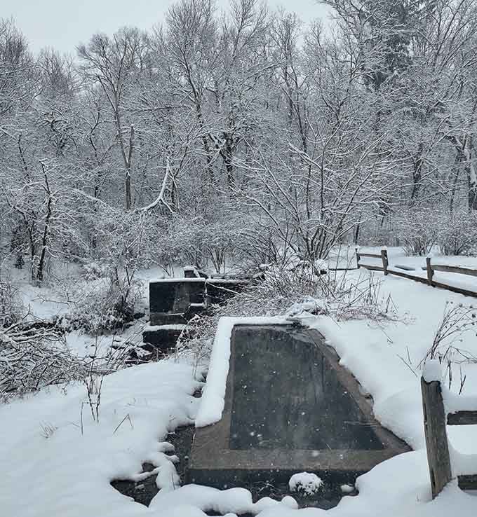 Winter reveals the spring's secret: steam rising like nature's own special effects in the cold air.