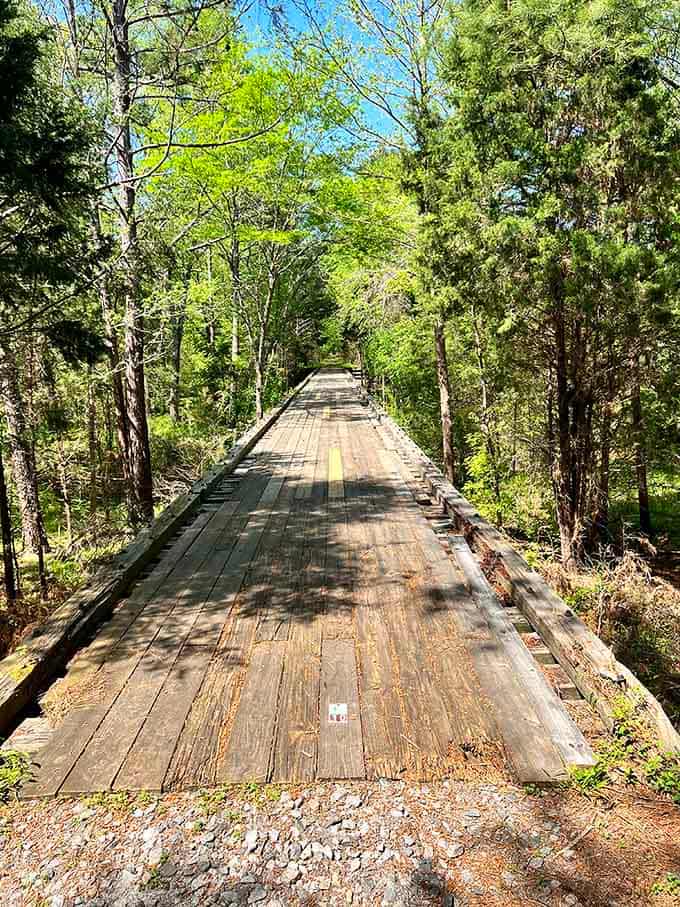 This converted railroad bridge stands as a testament to adaptive reuse, transforming industrial history into recreational treasure.
