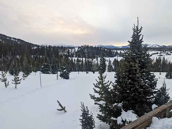Winter transforms Pearl Lake into a snow globe you can actually walk into, minus the annoying shaking part.