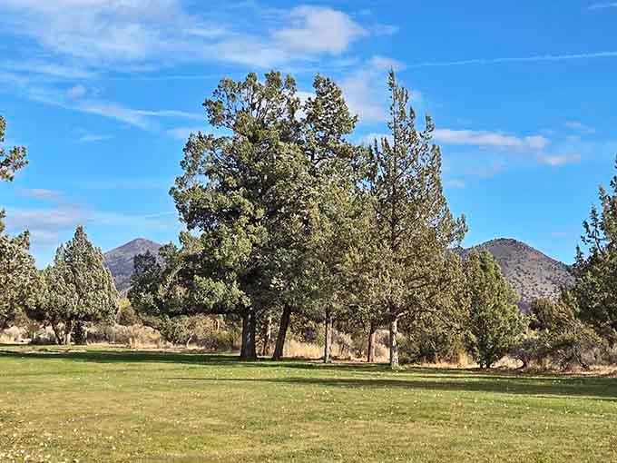Grassy picnic areas invite you to relax and contemplate the engineering marvels before your eyes.