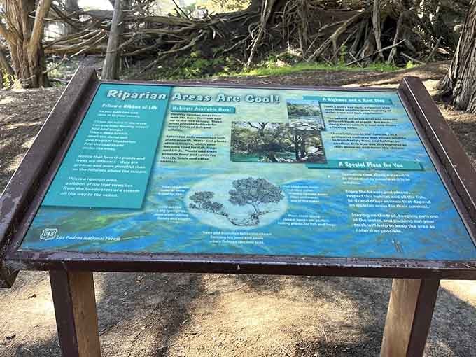 Even the informational signs here are interesting, which is not something you can say about most signs.